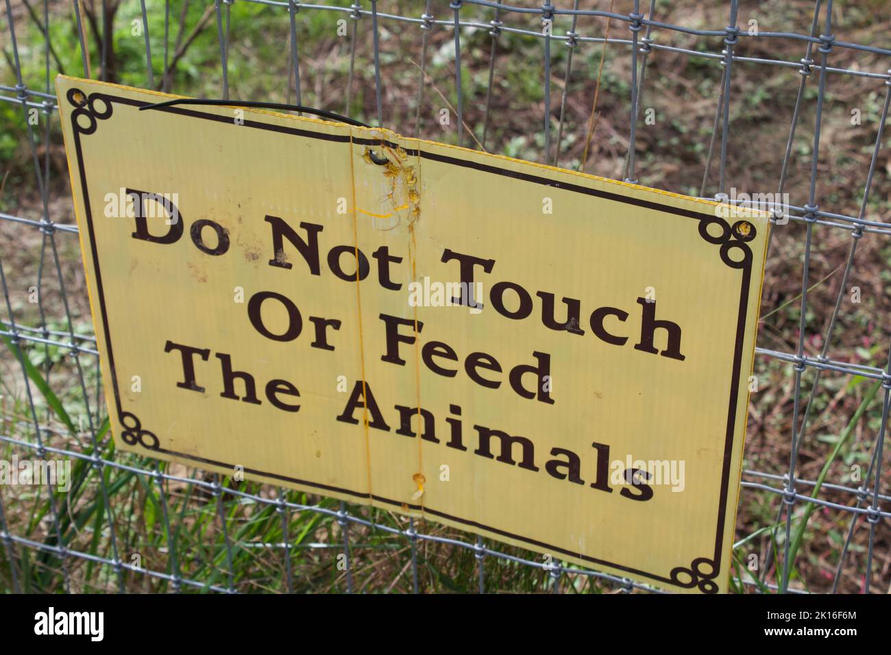 Don't Feed the Animals Stock Photo - Alamy