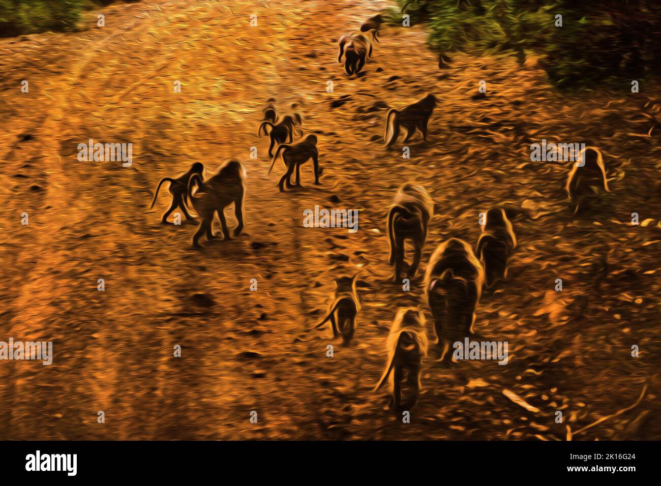 Baboons walking on a dirt road in the Serengeti National Park. A ...