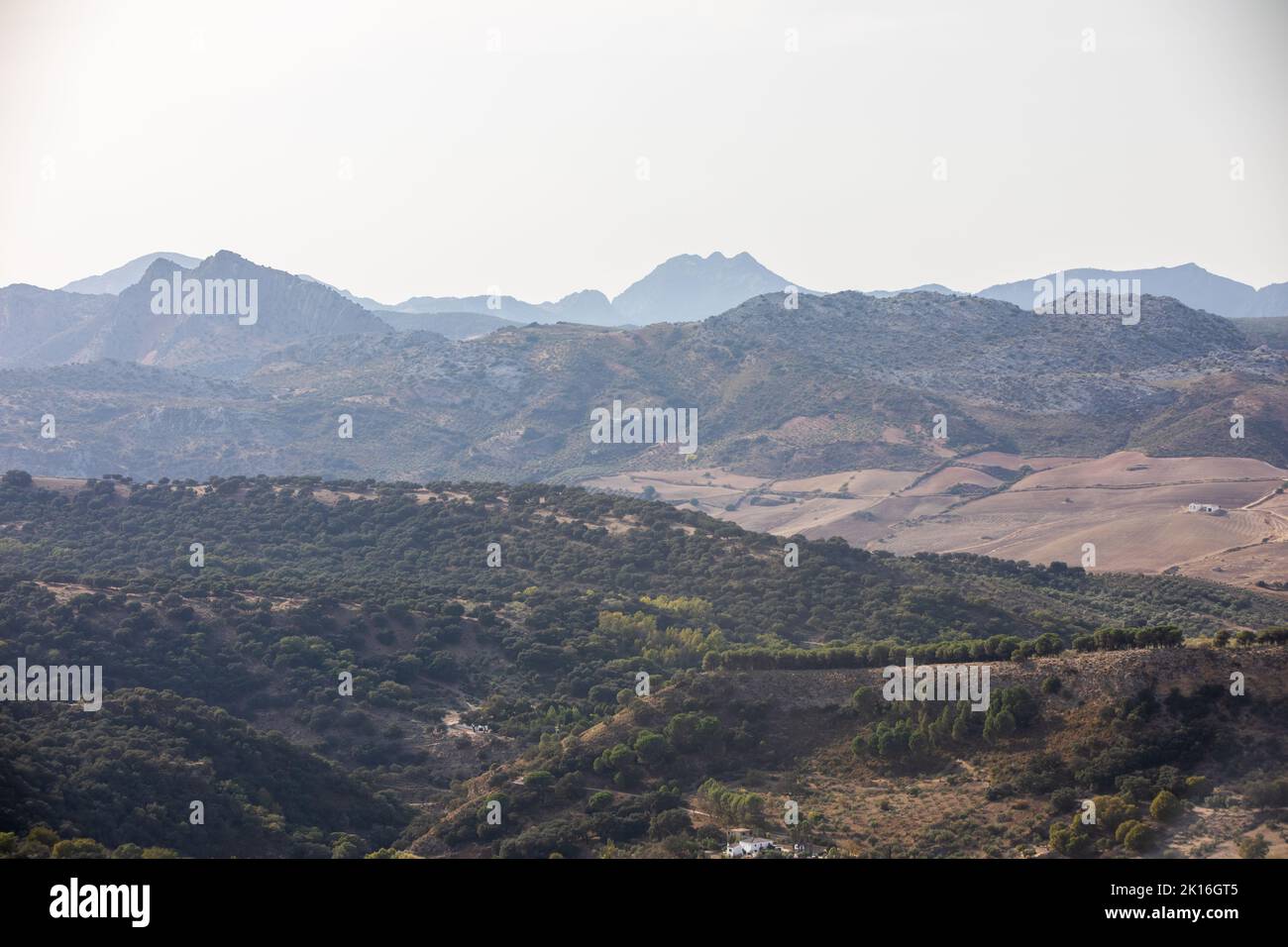 Green landscape of the Andalusia countryside, Spain with hills and ...