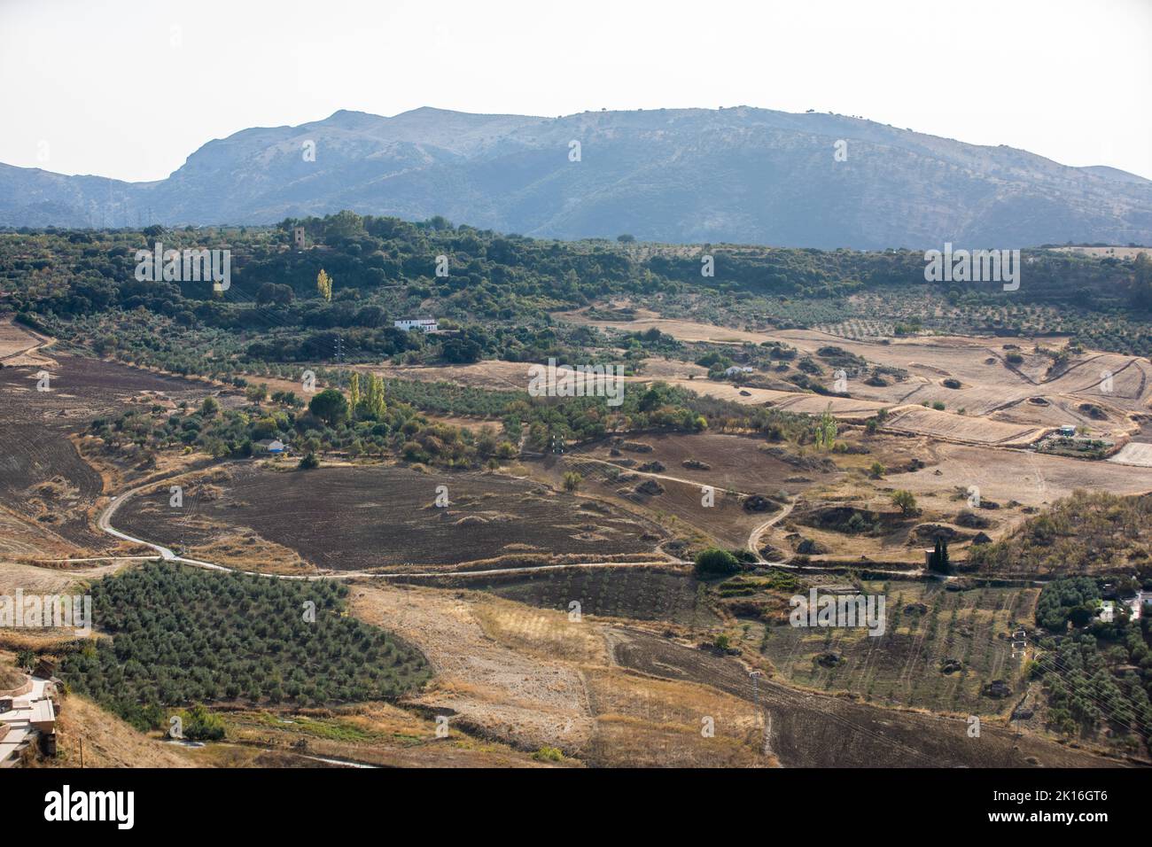 Green landscape of the Andalusia countryside, Spain with hills and ...
