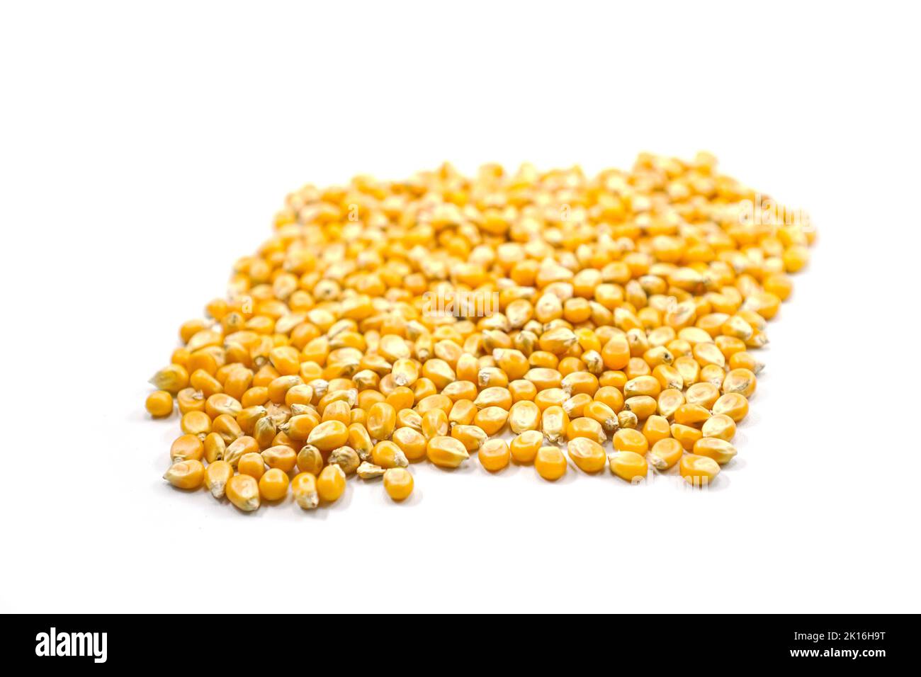 Mushroom corn kernel type used to make popcorn isolated on a white ...