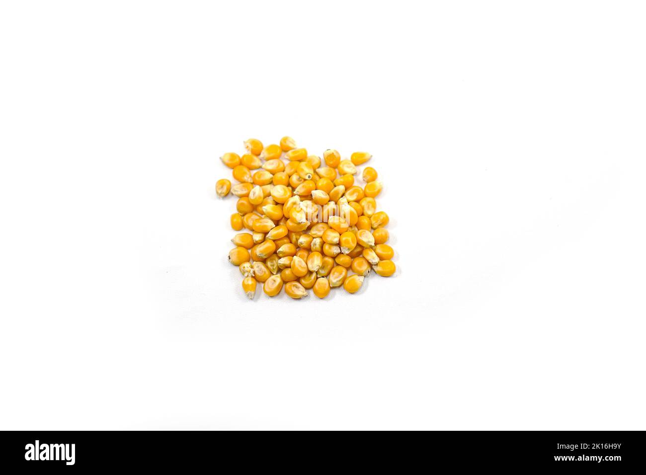 Mushroom corn kernel type used to make popcorn isolated on a white ...