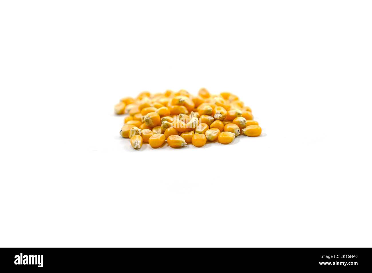 Mushroom corn kernel type used to make popcorn isolated on a white ...