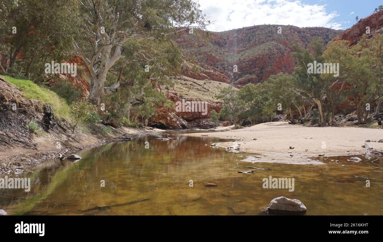 Beautiful views of the red gorge and spring water from Ormiston Gorge ...
