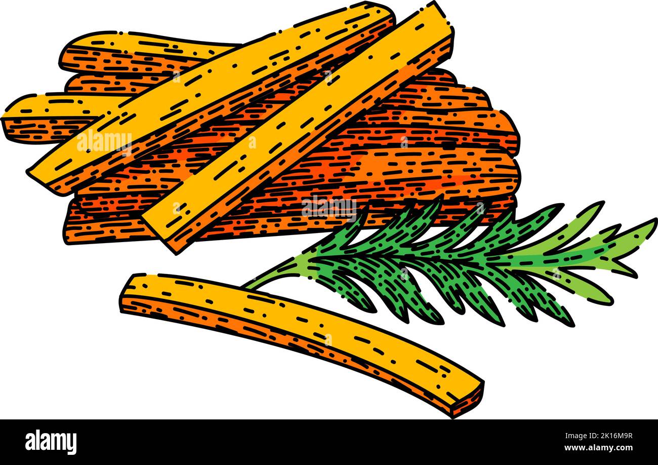 carrot cut sketch hand drawn vector Stock Vector Image & Art - Alamy