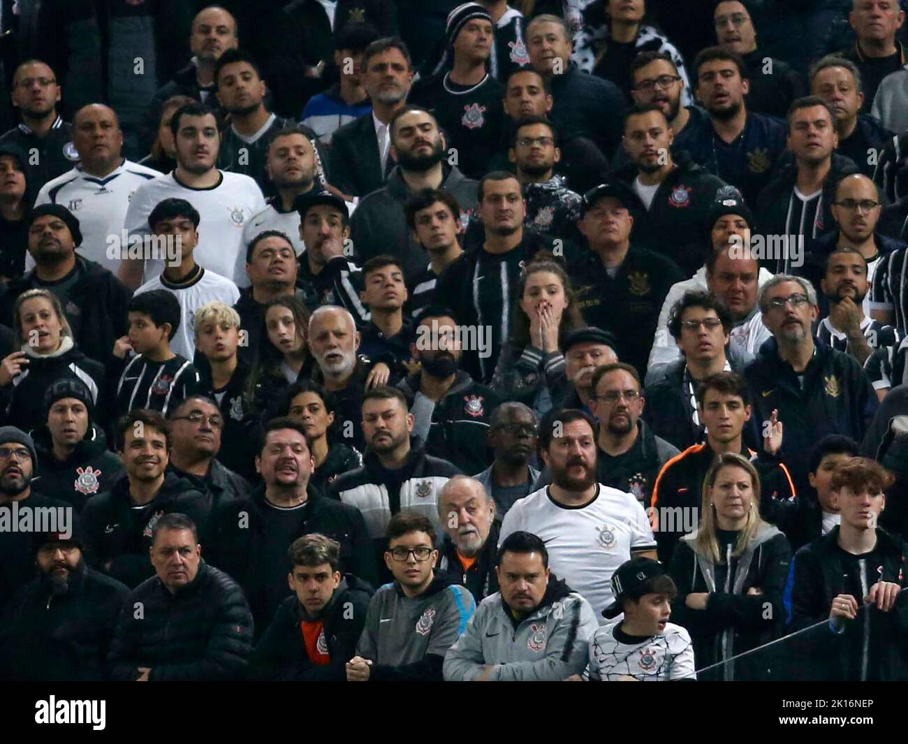 Sao Paulo, Brazil. 15th Sep, 2022. Supporters during a match between ...