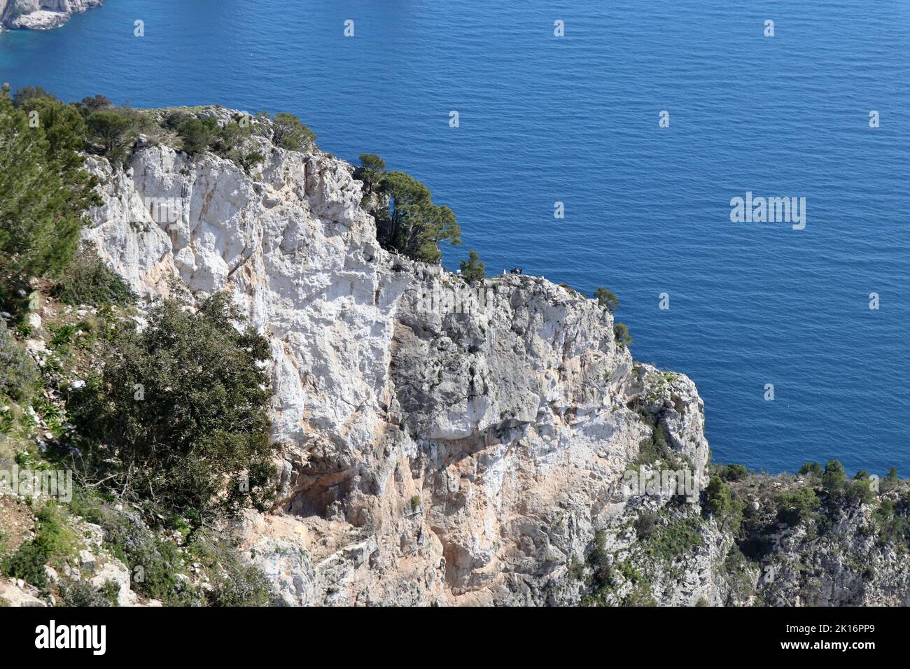 Capra di mare hi-res stock photography and images - Alamy