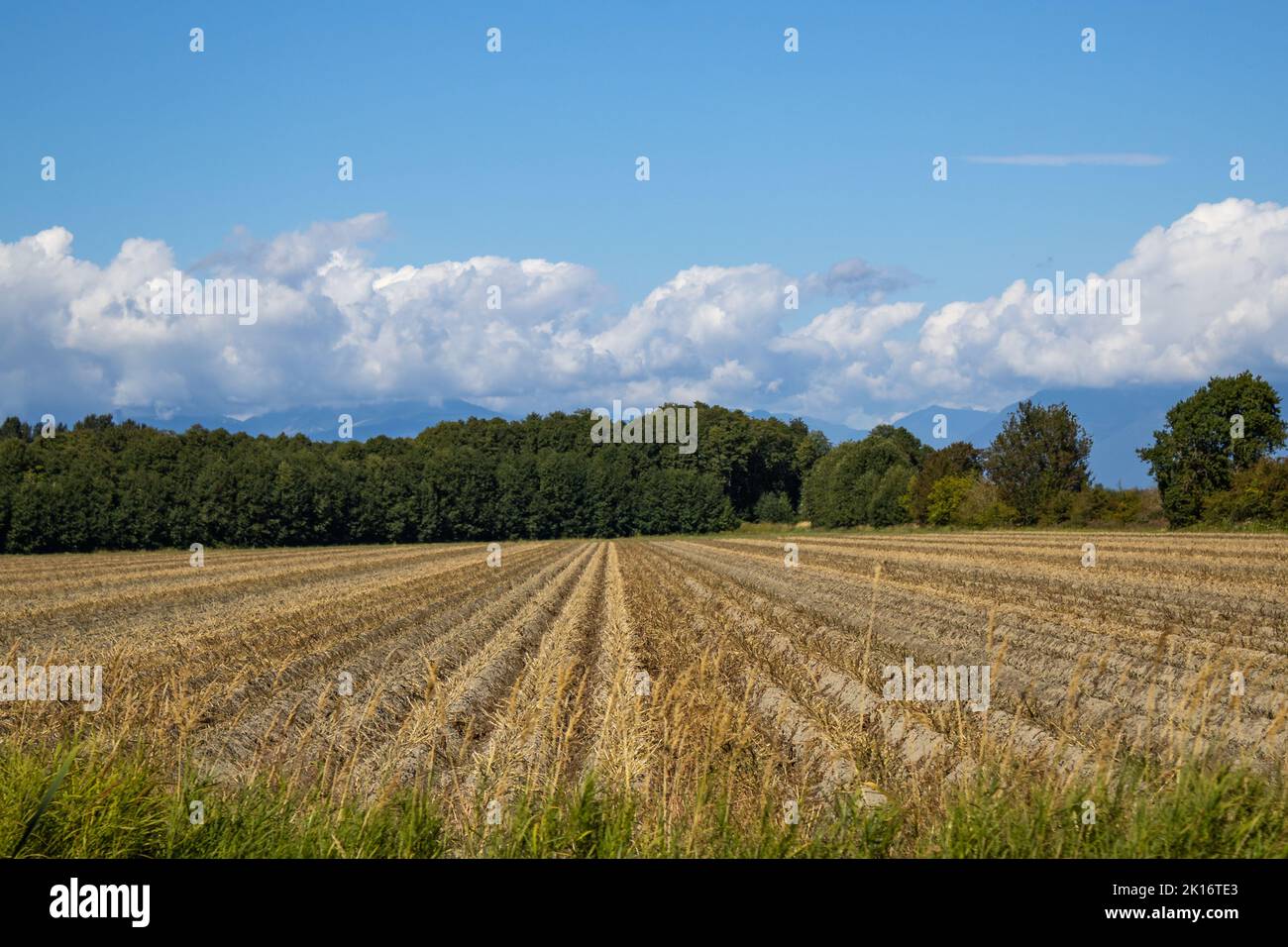 A beautiful landscape of a farm field with a blue sky Stock Photo - Alamy