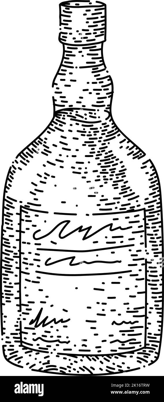 rum bottle sketch hand drawn vector Stock Vector Image & Art - Alamy