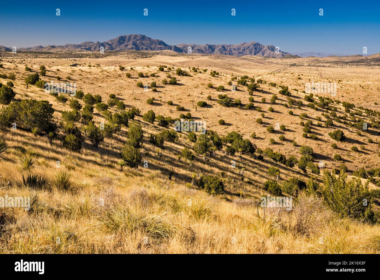 West Texas grassland, along FM-2810 road, on way to Pinto Canyon in ...