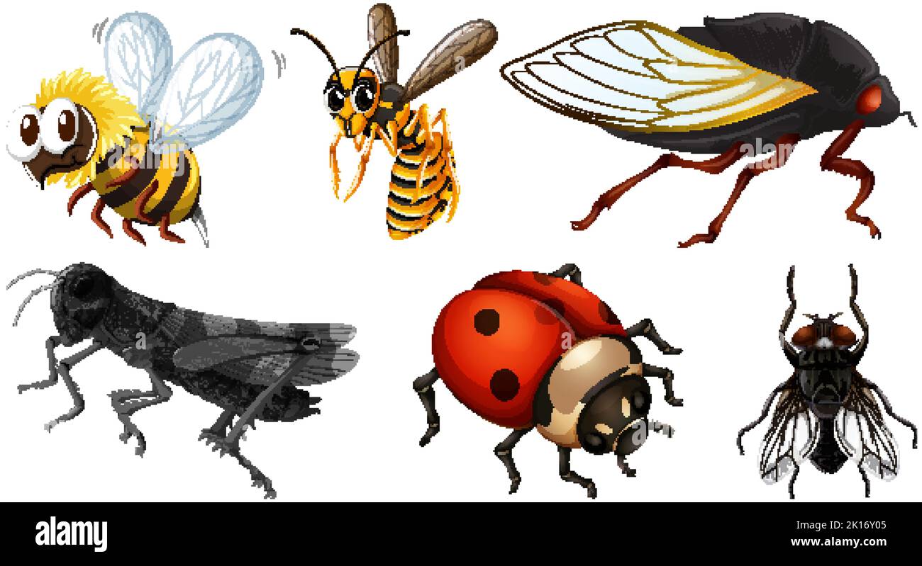 Set of different kinds of insects illustration Stock Vector Image & Art ...