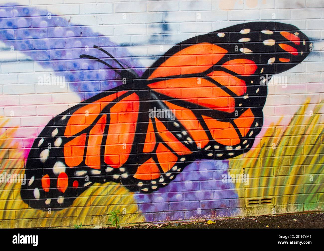 Graffiti butterfly hi-res stock photography and images - Alamy