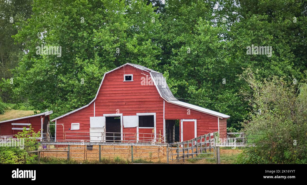 Agriculture Landscape With Old Red Barn. Red Barn in rural Canada Stock ...