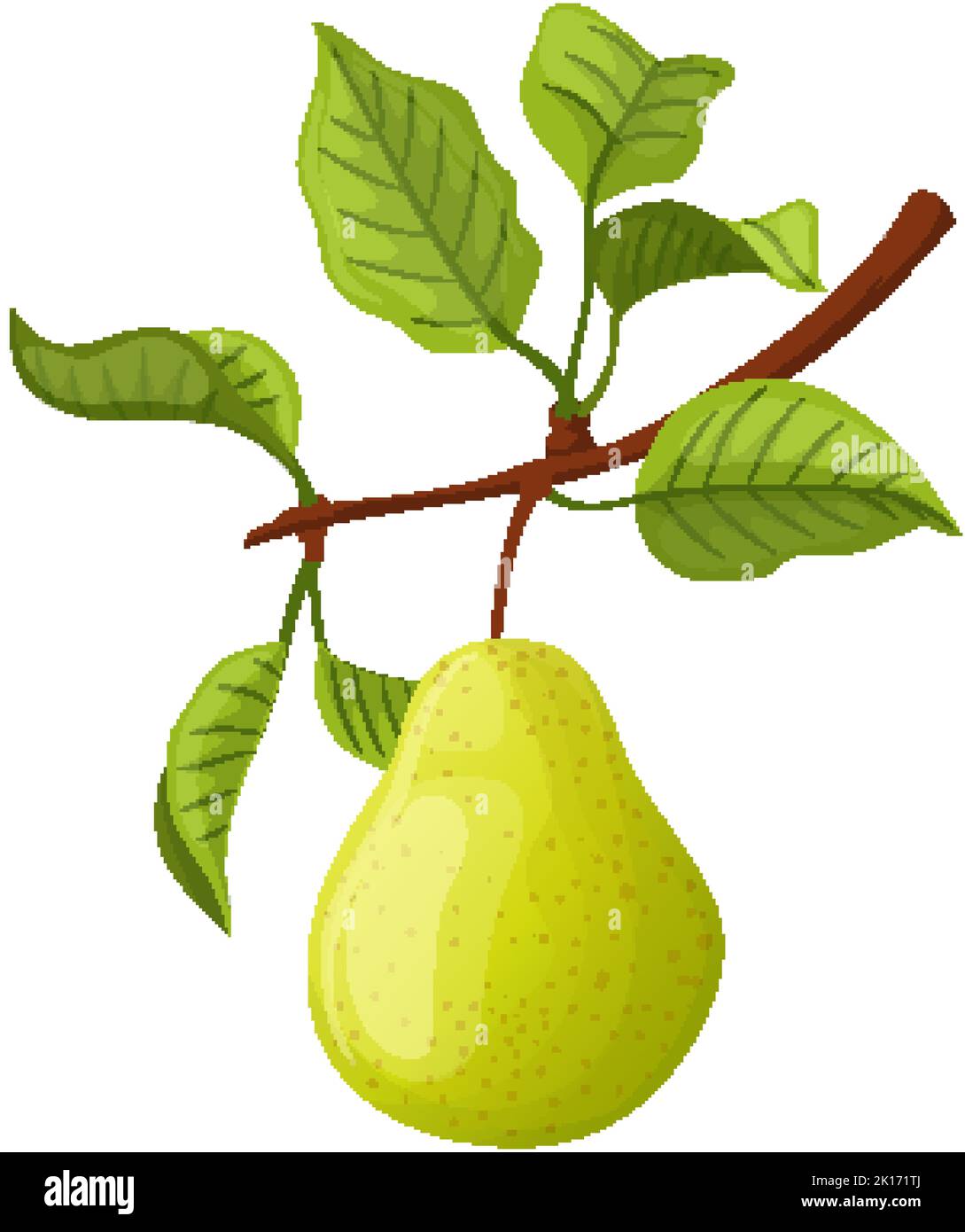 pear green cartoon vector illustration Stock Vector Image & Art - Alamy