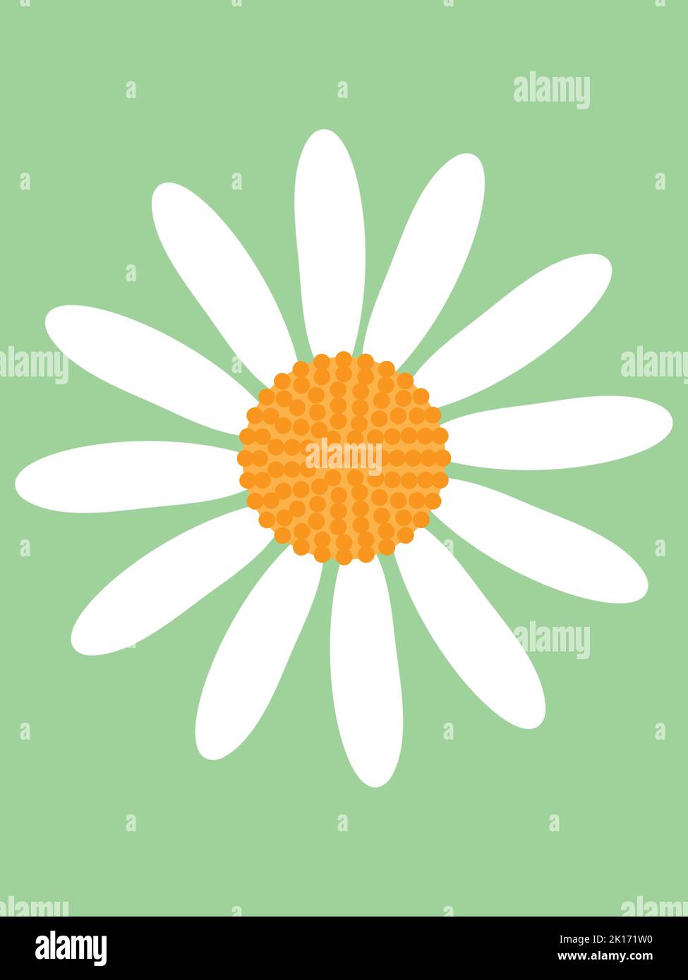 A vertical of a white daisy flower isolated on a green background Stock ...