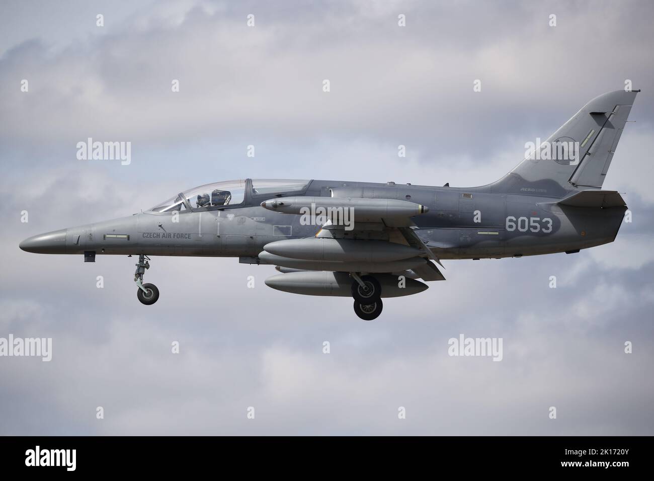 Princeton Mindless Behavior 2022 Tattoo