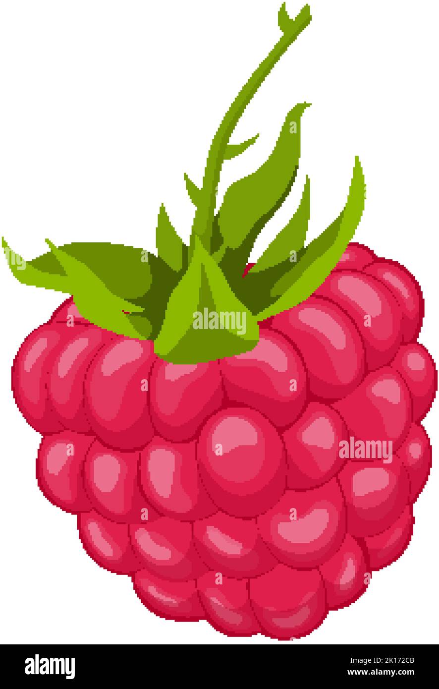 raspberry food cartoon vector illustration Stock Vector Image & Art - Alamy