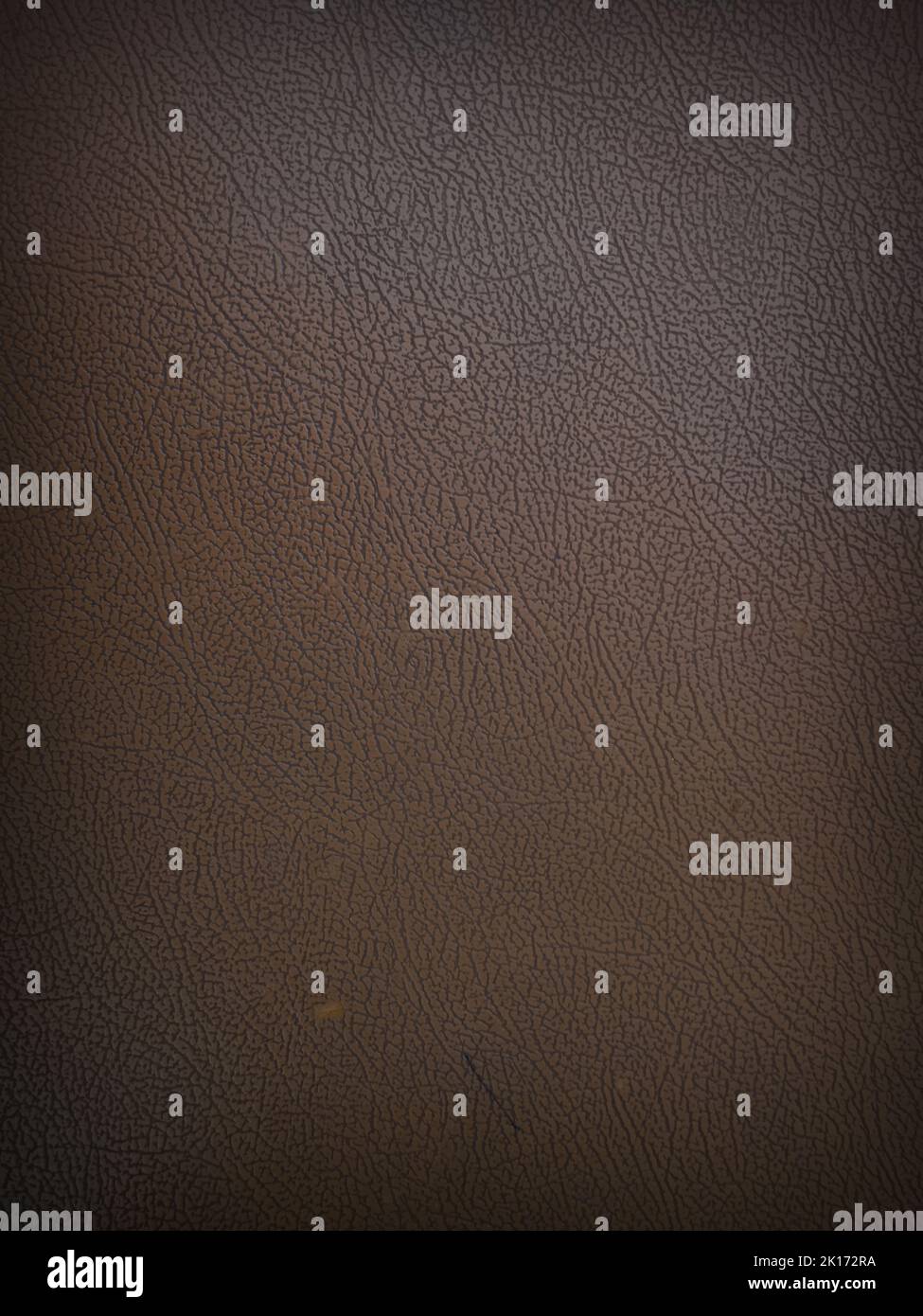 Modern wallpaper sofa hi-res stock photography and images - Alamy