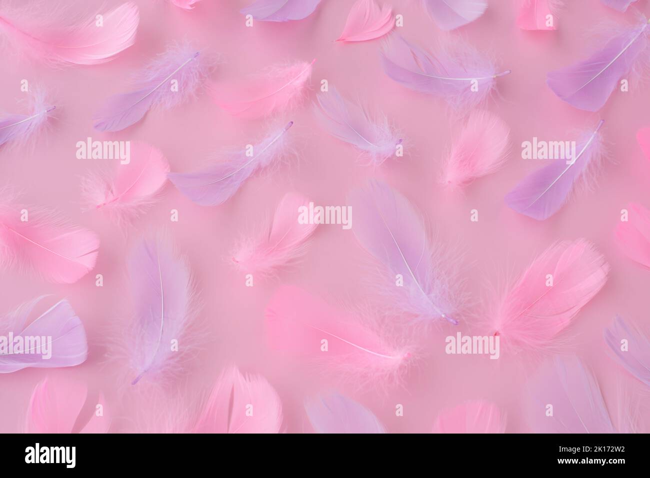 Plumule hi-res stock photography and images - Alamy