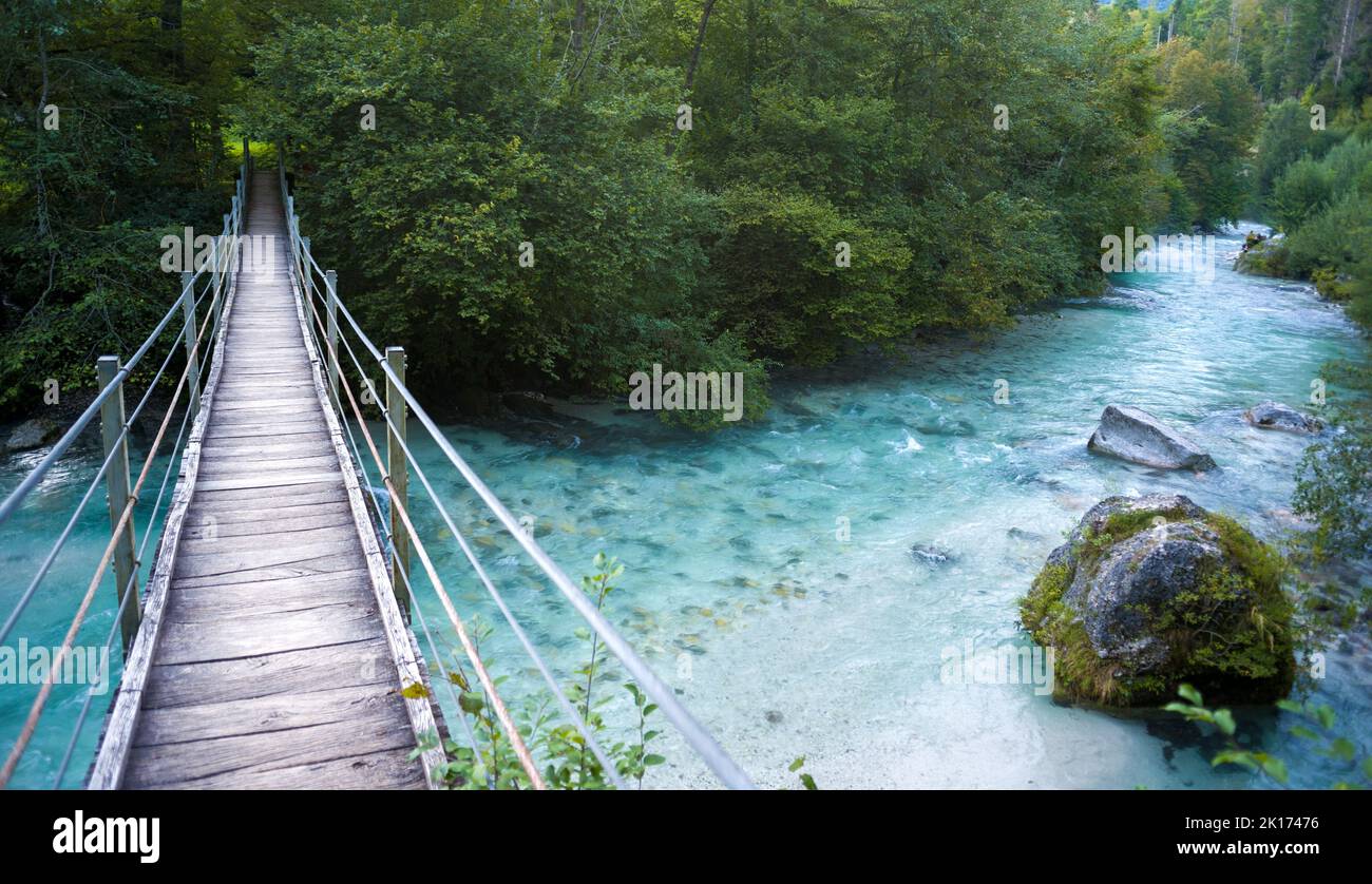 Hanging trees with water and bridge hi-res stock photography and images ...