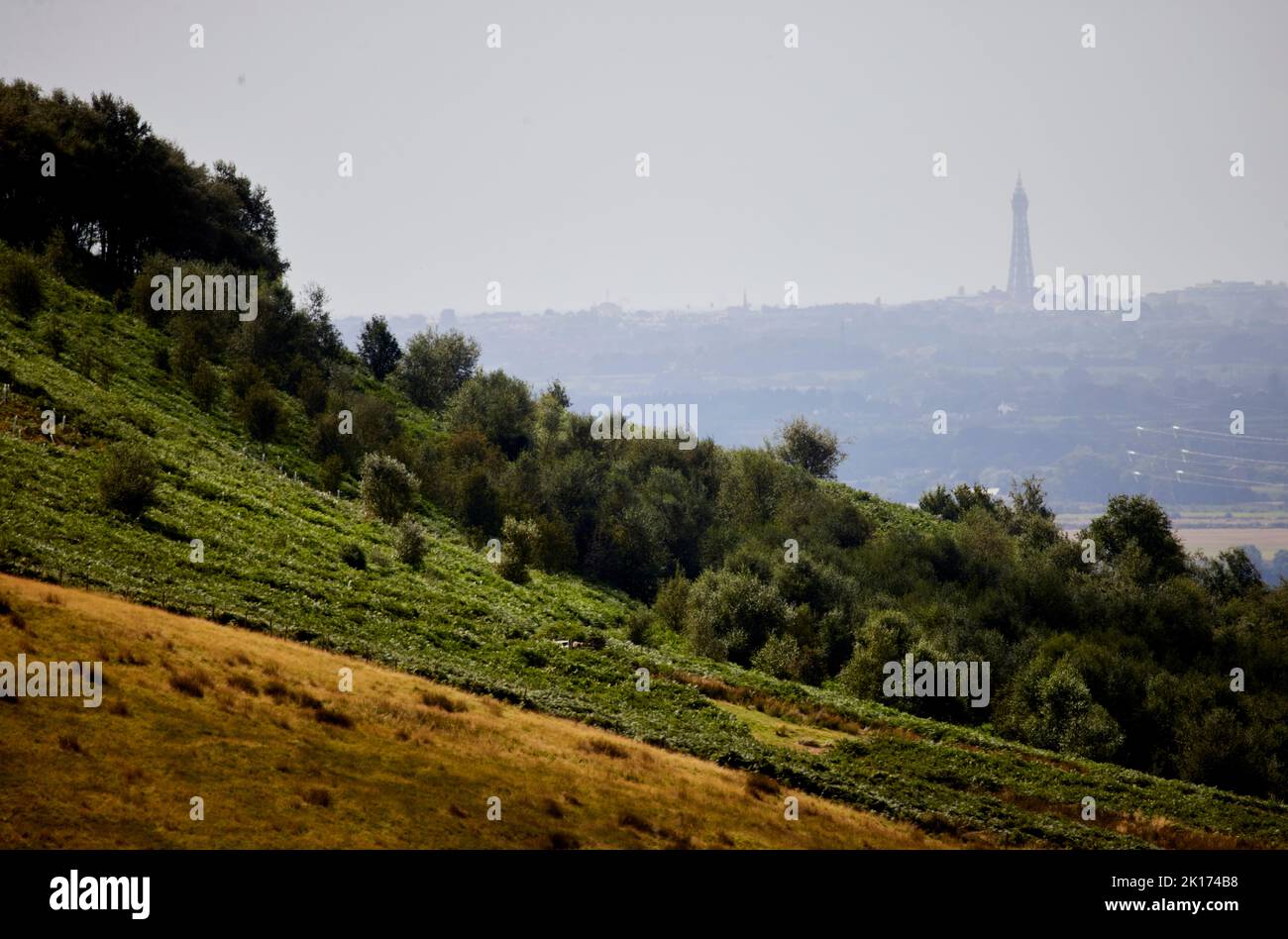 Lancashire countryside with Blackpool tower on the horizon Stock Photo ...