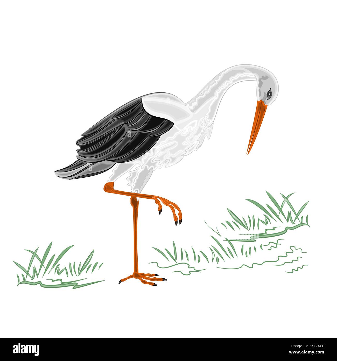 Illustration standing stork newborn baby hi-res stock photography and ...