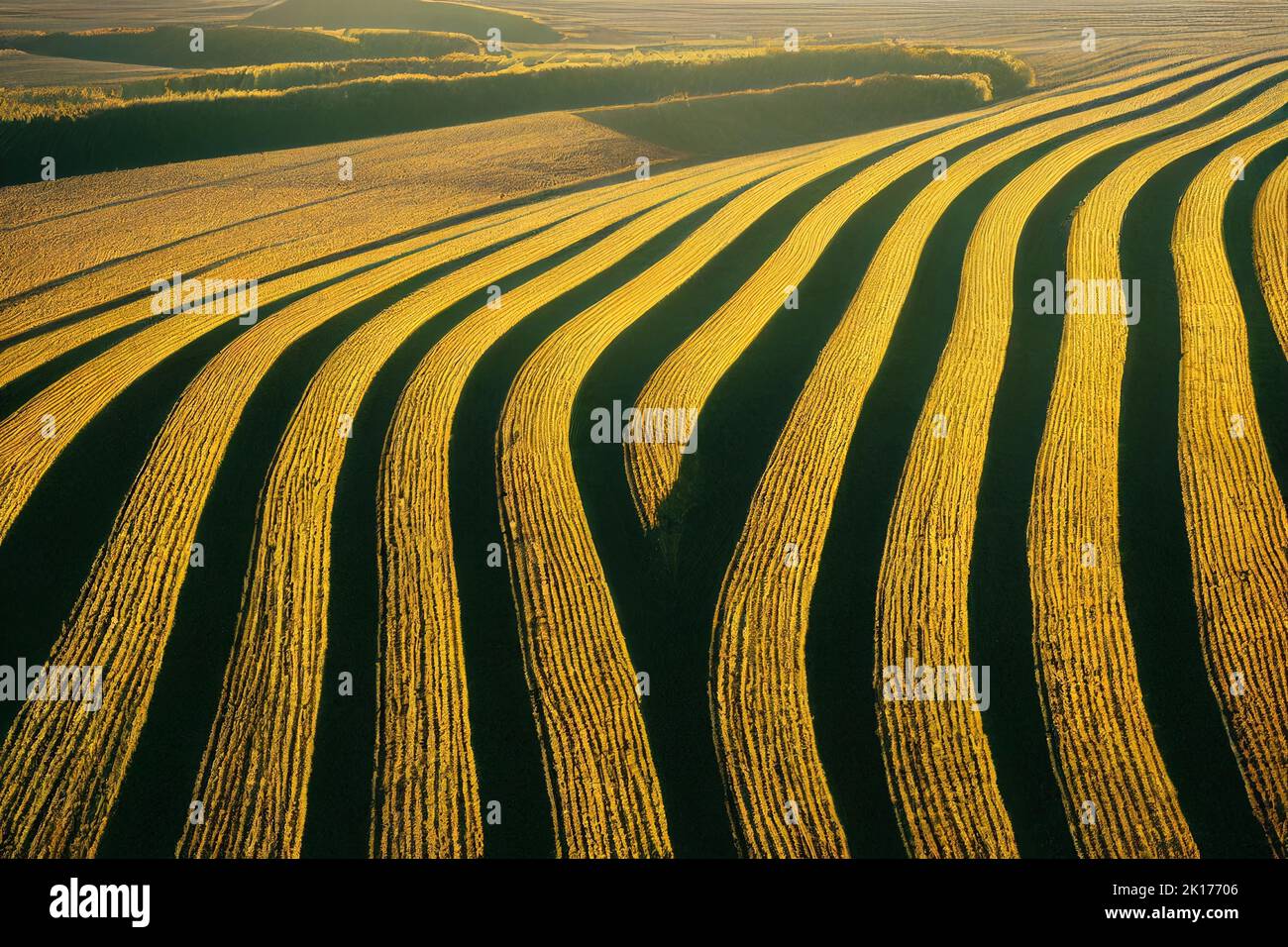 An aerial view of a beautiful field Stock Photo - Alamy