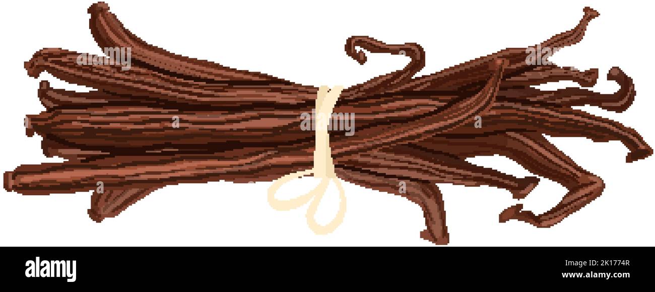 vanilla stick cartoon vector illustration Stock Vector Image & Art - Alamy