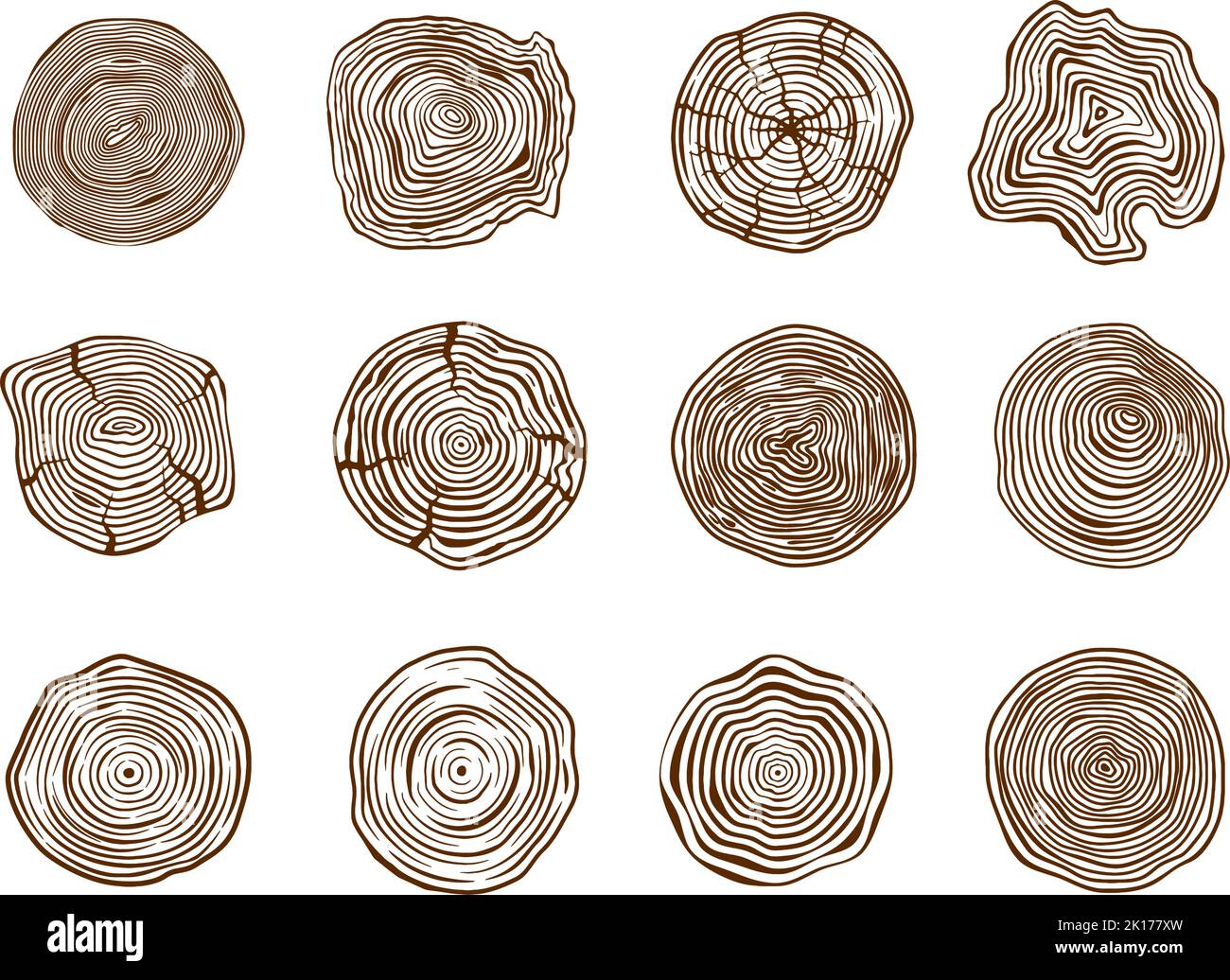Pine log cut. Forest tree rings, natural sawn and trunk cross section ...