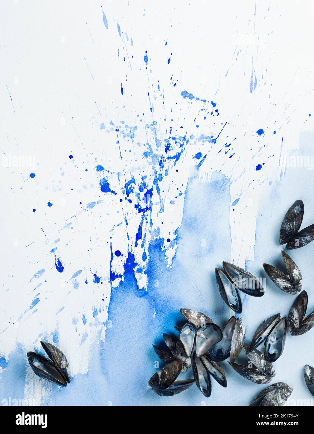 Empty mussel shells Stock Photo - Alamy