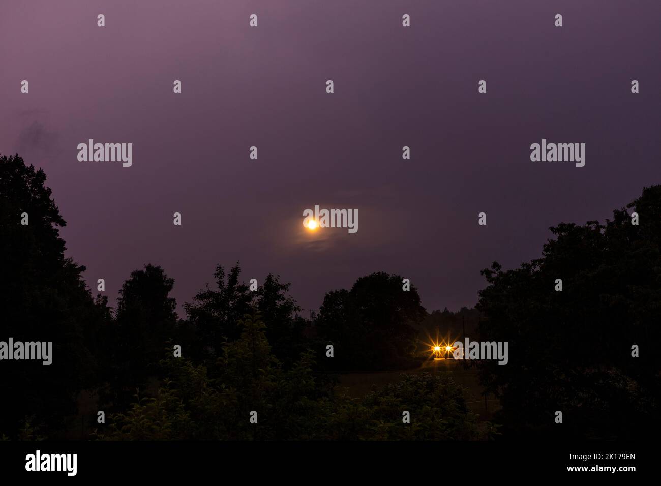 Full moon above trees Stock Photo - Alamy