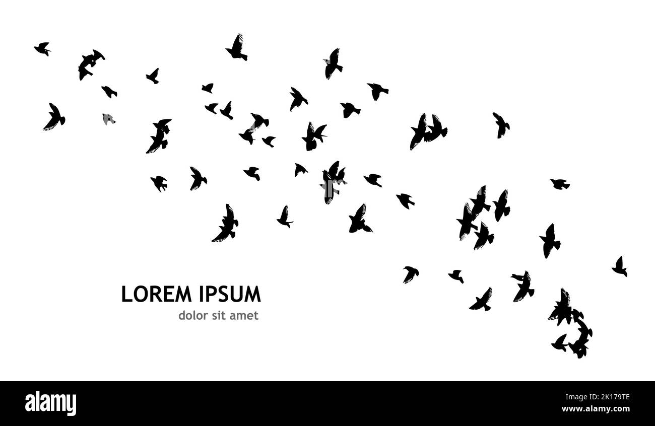 A flock of flying birds. Free birds. Vector illustration Stock Vector ...
