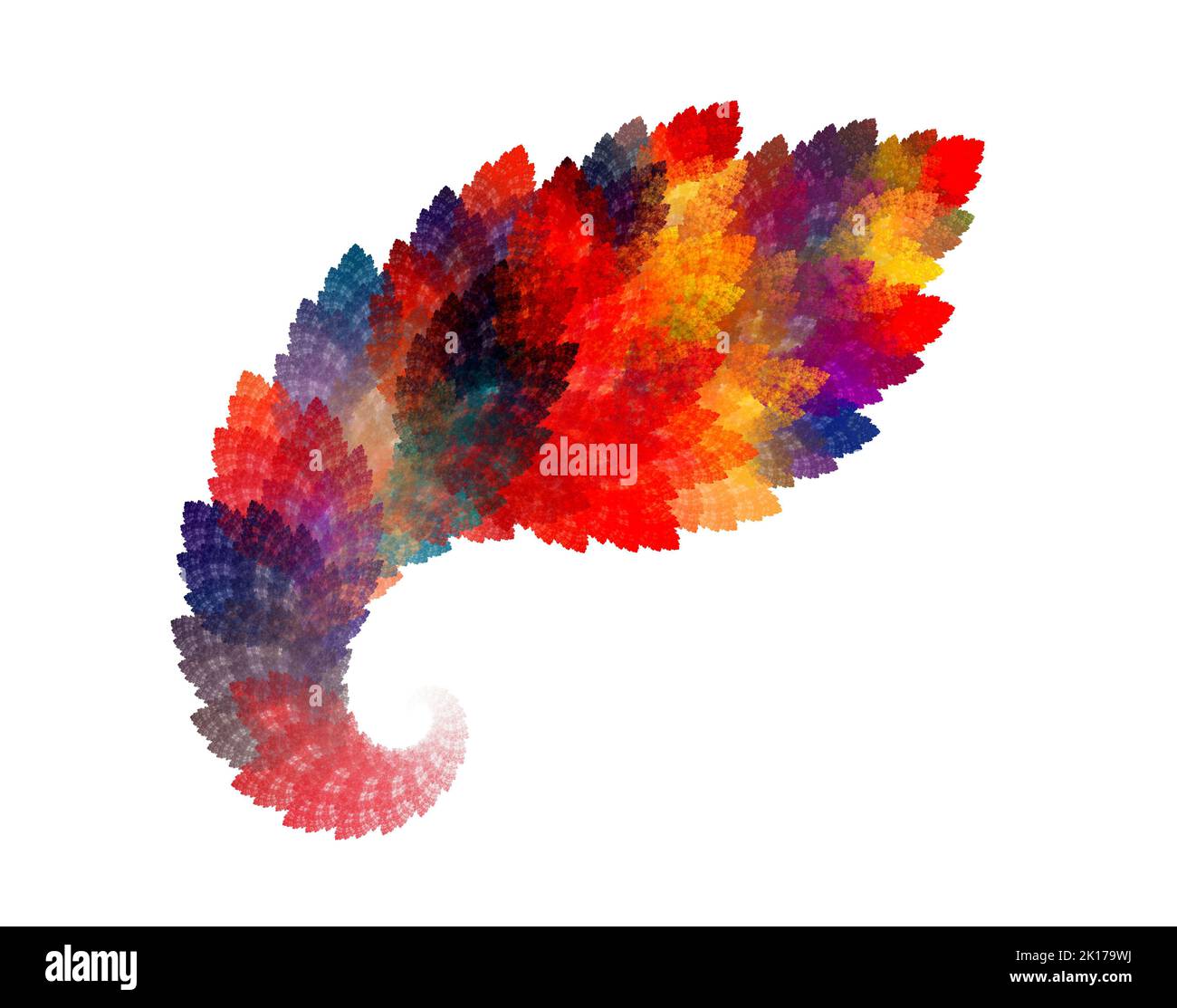 Texture of fractal leaf Cut Out Stock Images & Pictures - Alamy