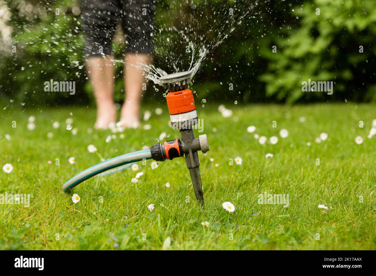 Close-up of sprinkler on lawn Stock Photo - Alamy