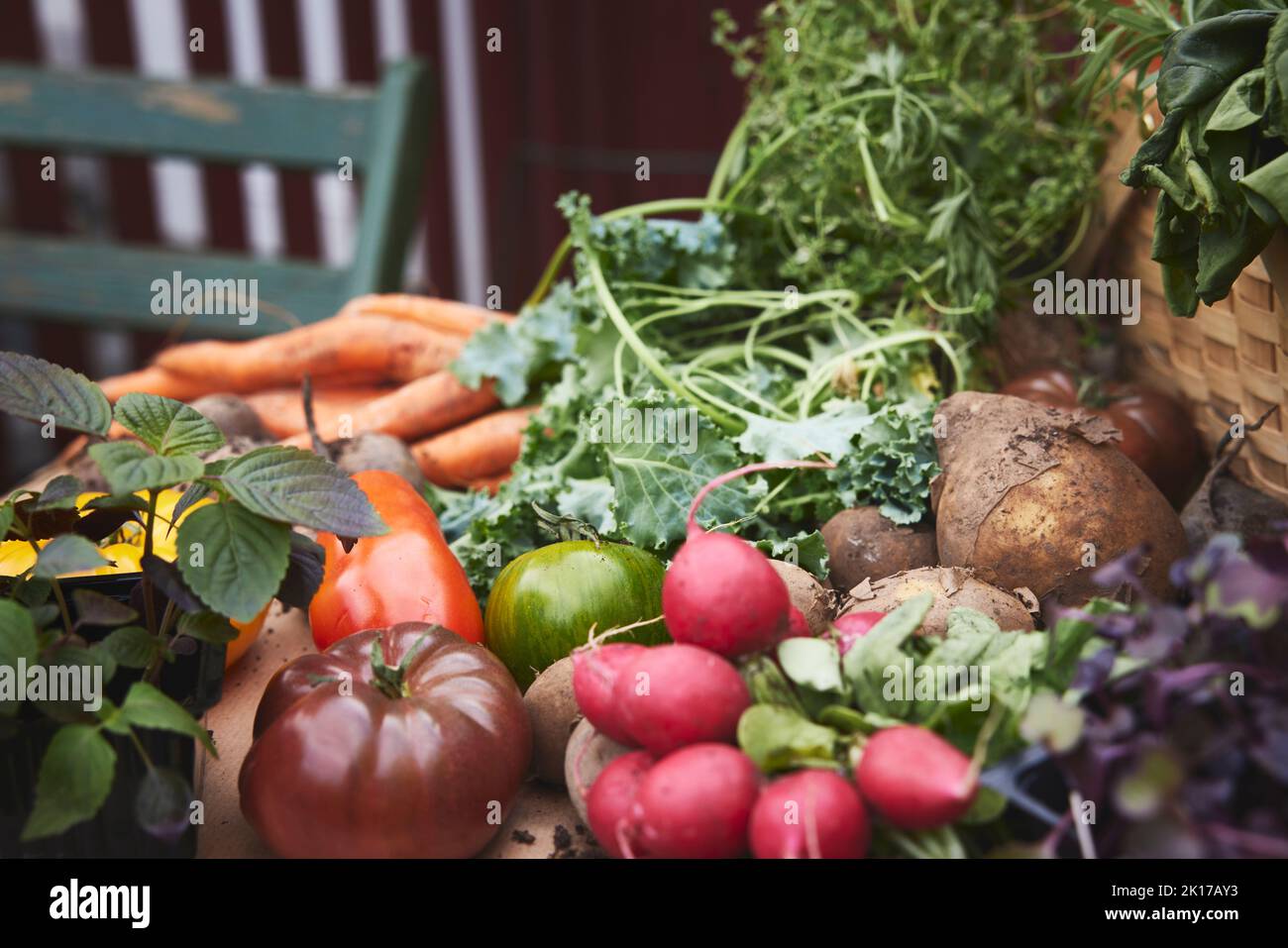 Ecology elevated view hi-res stock photography and images - Alamy