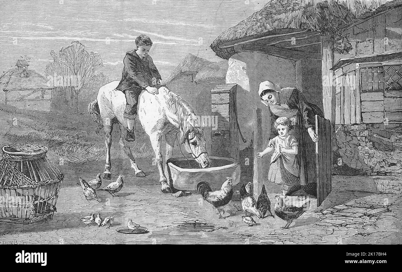 Baby Farming 19th Century