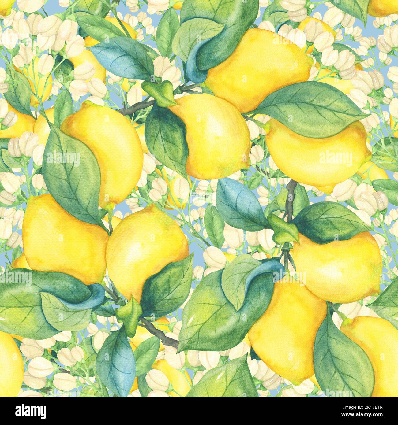Yellow lemons and beige flowers on a blue background. Watercolor ...
