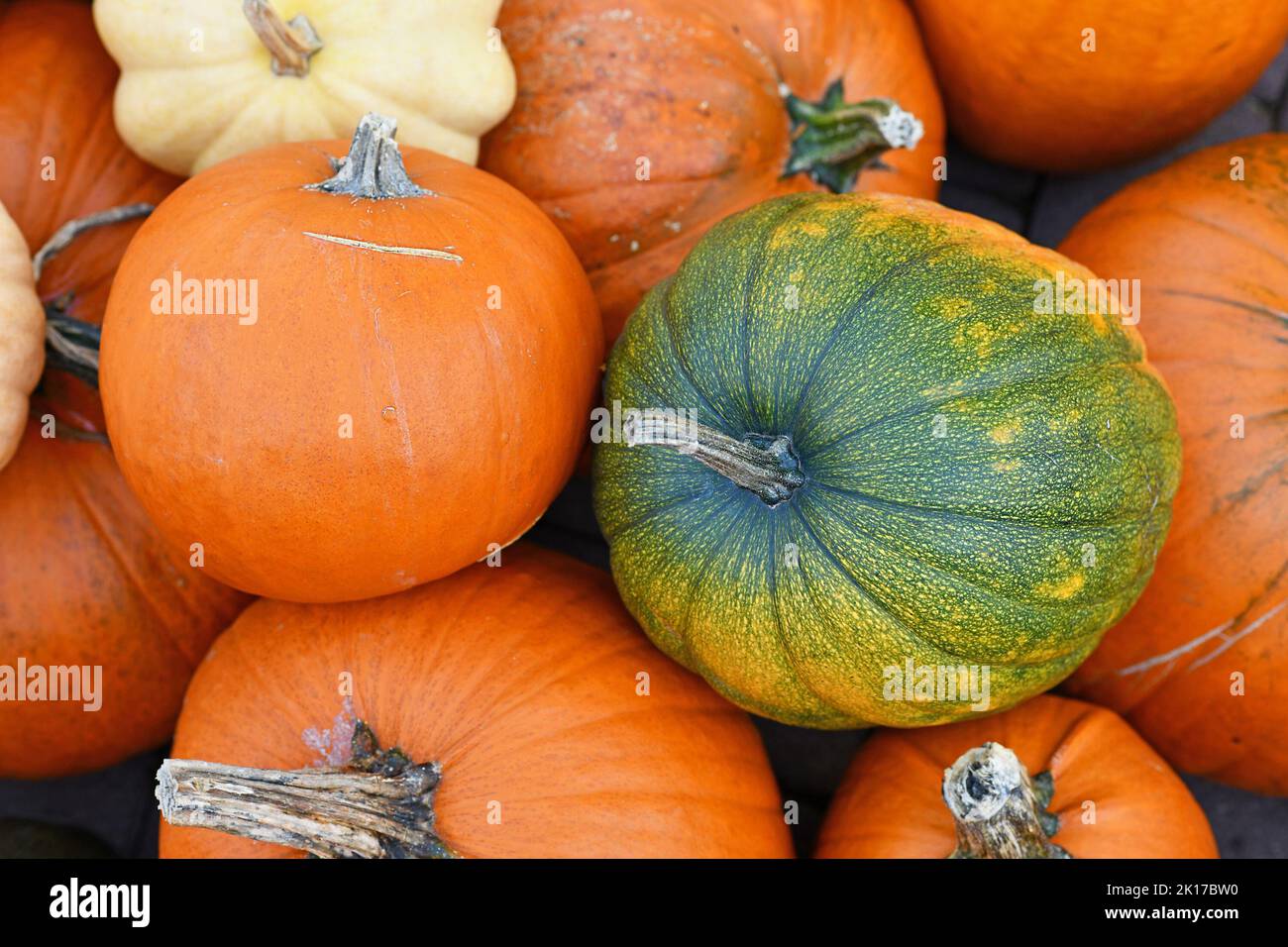 Colorful mixture different types hi-res stock photography and images ...