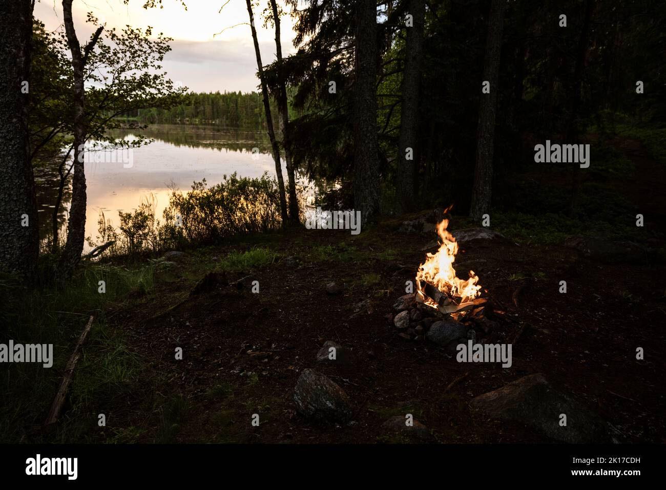 Campfire in forest by lake Stock Photo - Alamy