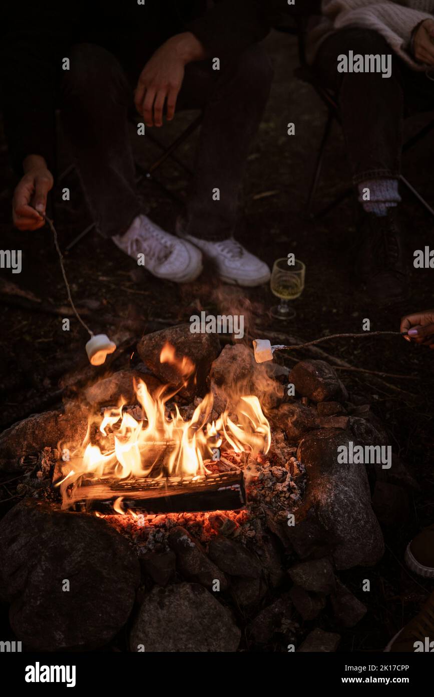 Friends roasting marshmallows over campfire Stock Photo - Alamy
