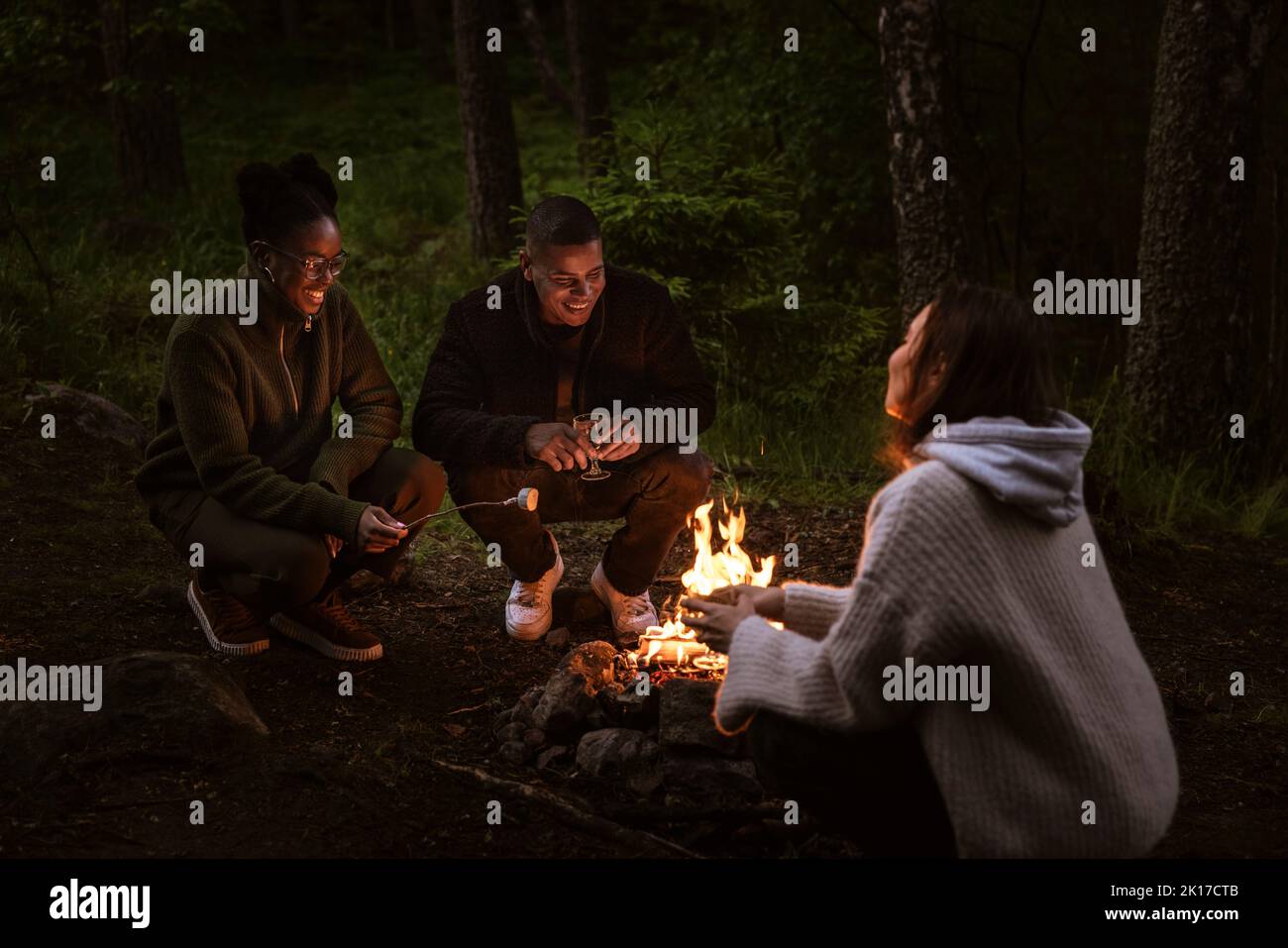 Friends sitting by campfire in forest Stock Photo - Alamy