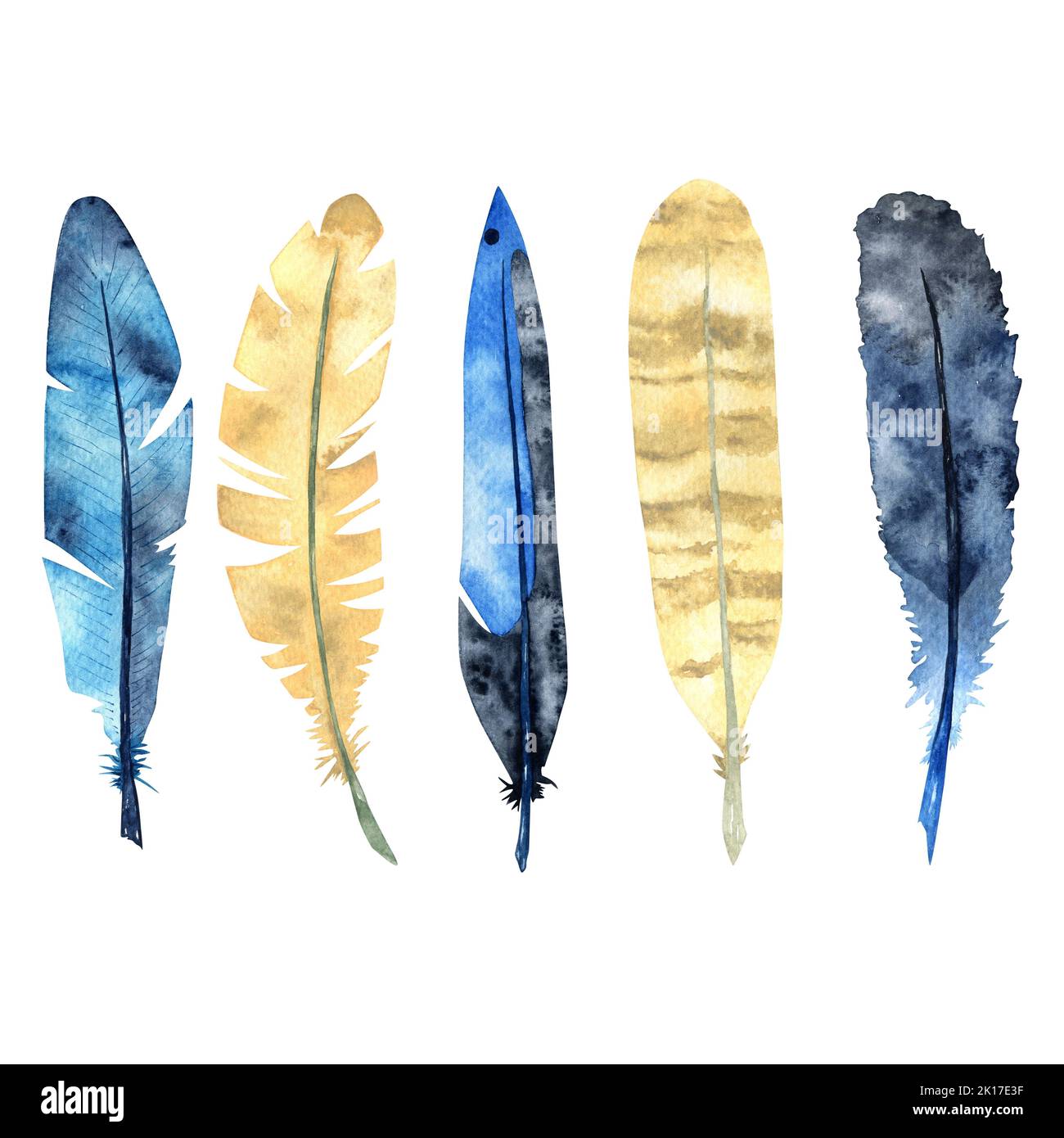 Set of watercolor bird feathers. Feathers in blue and beige. Isolated ...