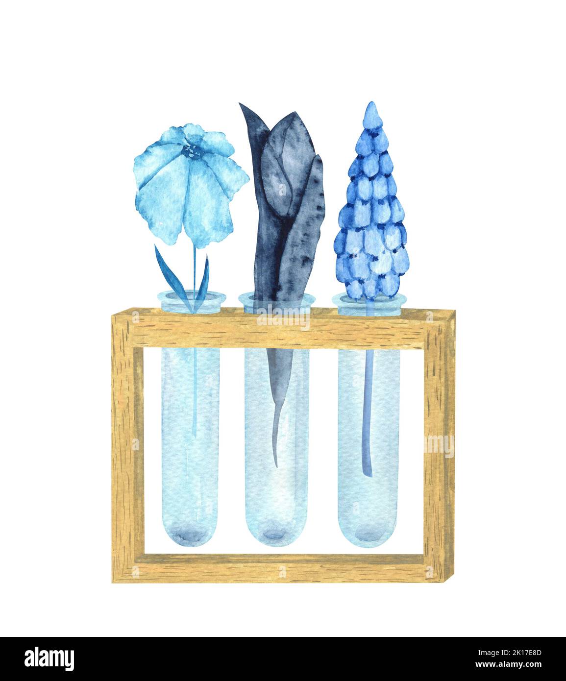 Dry flowers in a vase in the form of flasks on a wooden stand. Muscari ...