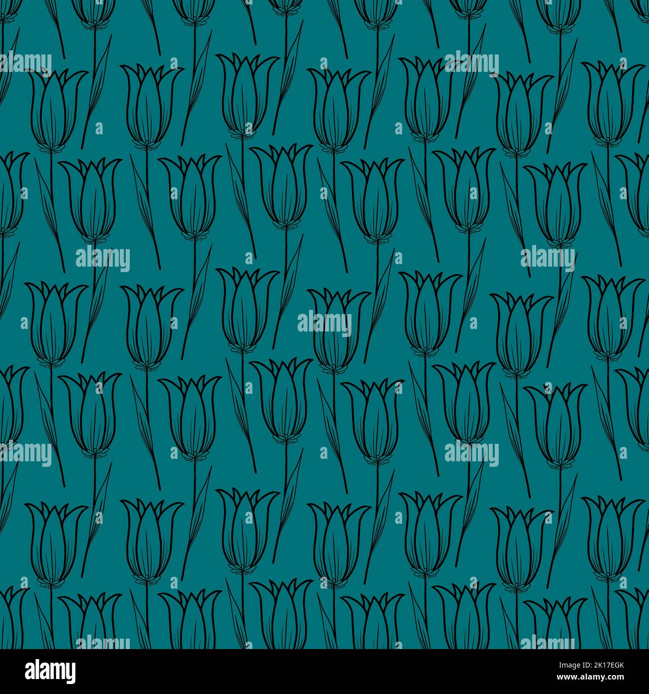 Graphic image of tulips. Black contour of flowers on a turquoise ...