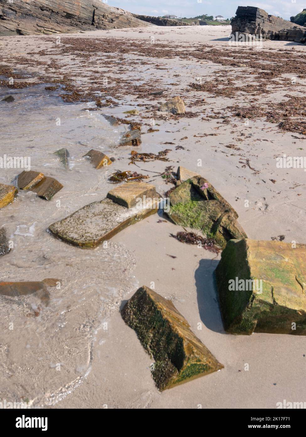 Beach of sand with stones and lots of seaweed Stock Photo - Alamy