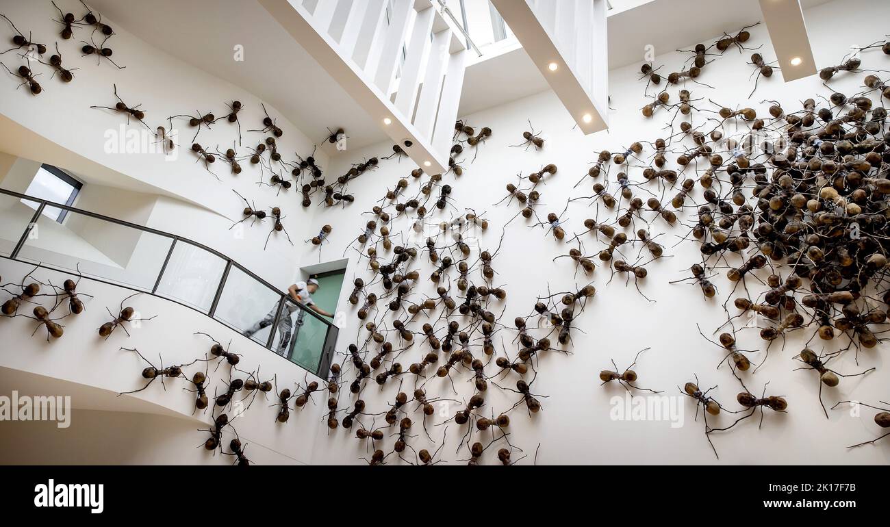 Van meter visitor hi-res stock photography and images - Alamy