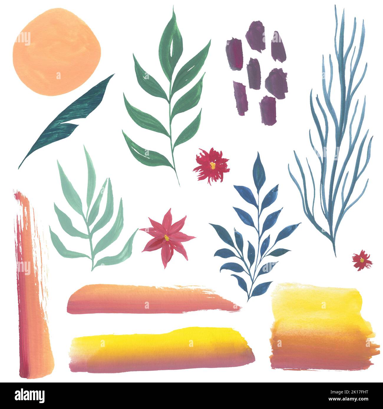 Abstract spots and plants. Set of watercolor elements. gradient lines ...
