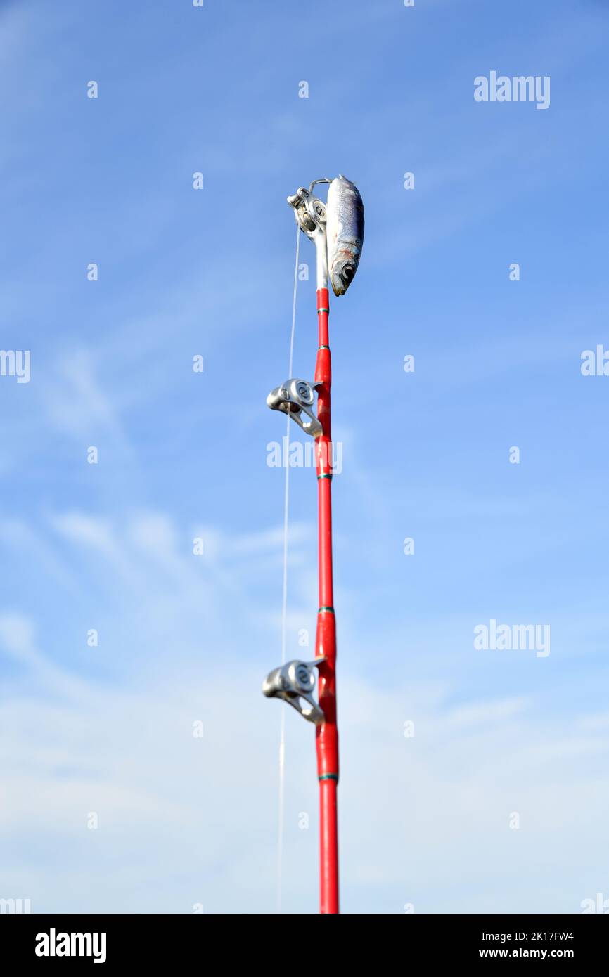 Fishing rod mechanism hi-res stock photography and images - Alamy
