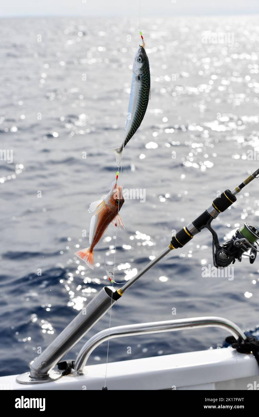 Cane pole fishing hi-res stock photography and images - Alamy
