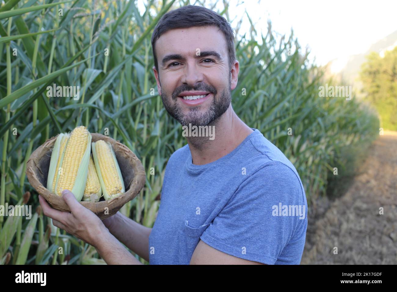 Farmer worker in corn field hi-res stock photography and images - Alamy